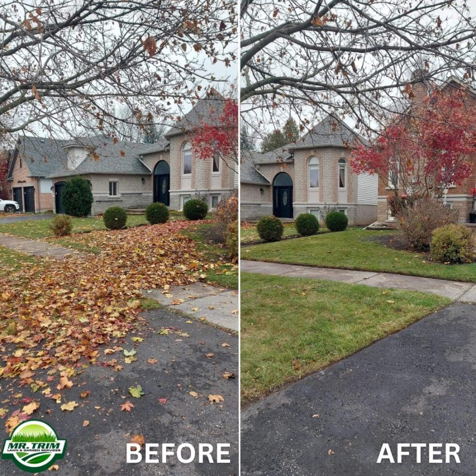 Leaf Removal Service: Leaf Raking & Leaf Cleanup Company in Oshawa
